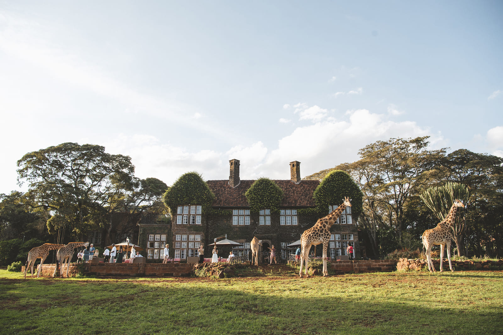 Giraffe Manor | Most Exclusive Giraffe Encounters - SGH